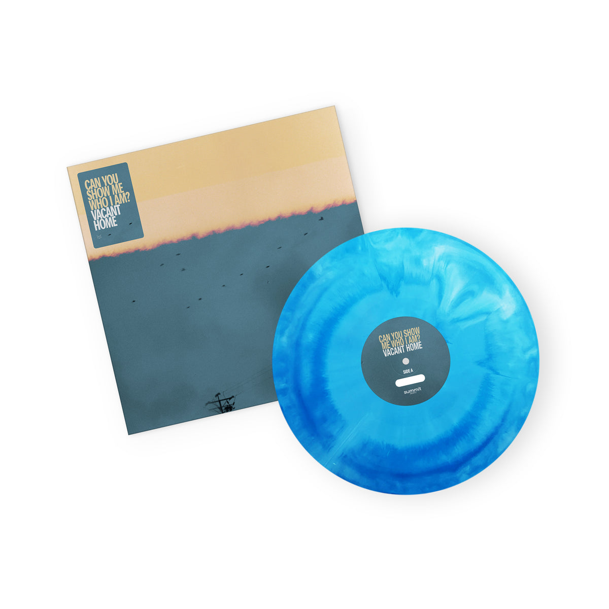 Vacant Home - Can You Show Me Who I Am? 'Two-Tone Blue Marble' Vinyl ...